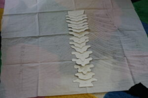 Hand Quilted Skeleton Vest - Megan Makes